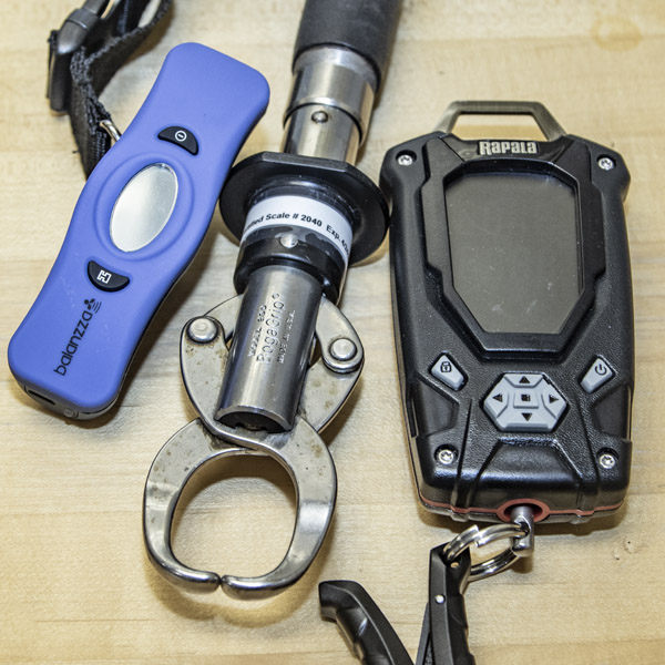 IGFA World Records – International Game Fish Association