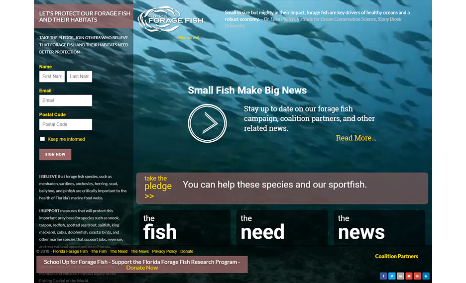 Florida Forage Fish – International Game Fish Association