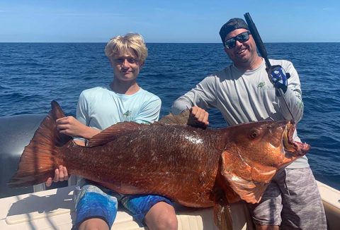 2019 IGFA World Record Recap