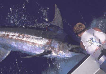 Trustee: Johan Zietsman – International Game Fish Association