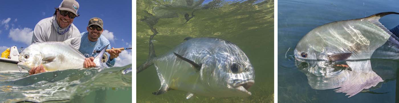 IGFA Permit Invitational - International Game Fish Association