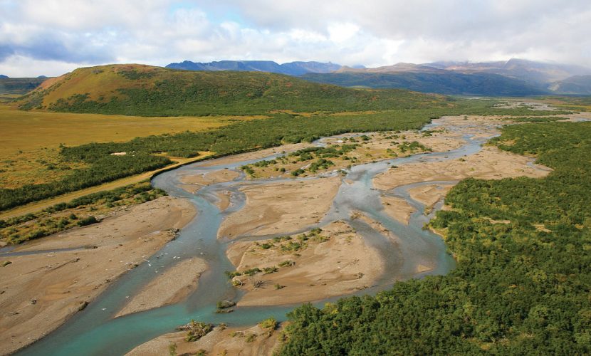 Pebble Mine and the Fate of the World’s Largest Salmon Runs ...