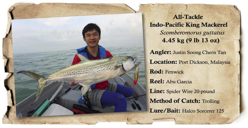 Big Macks: Eleven monster mackerel from the IGFA World Record vault ...