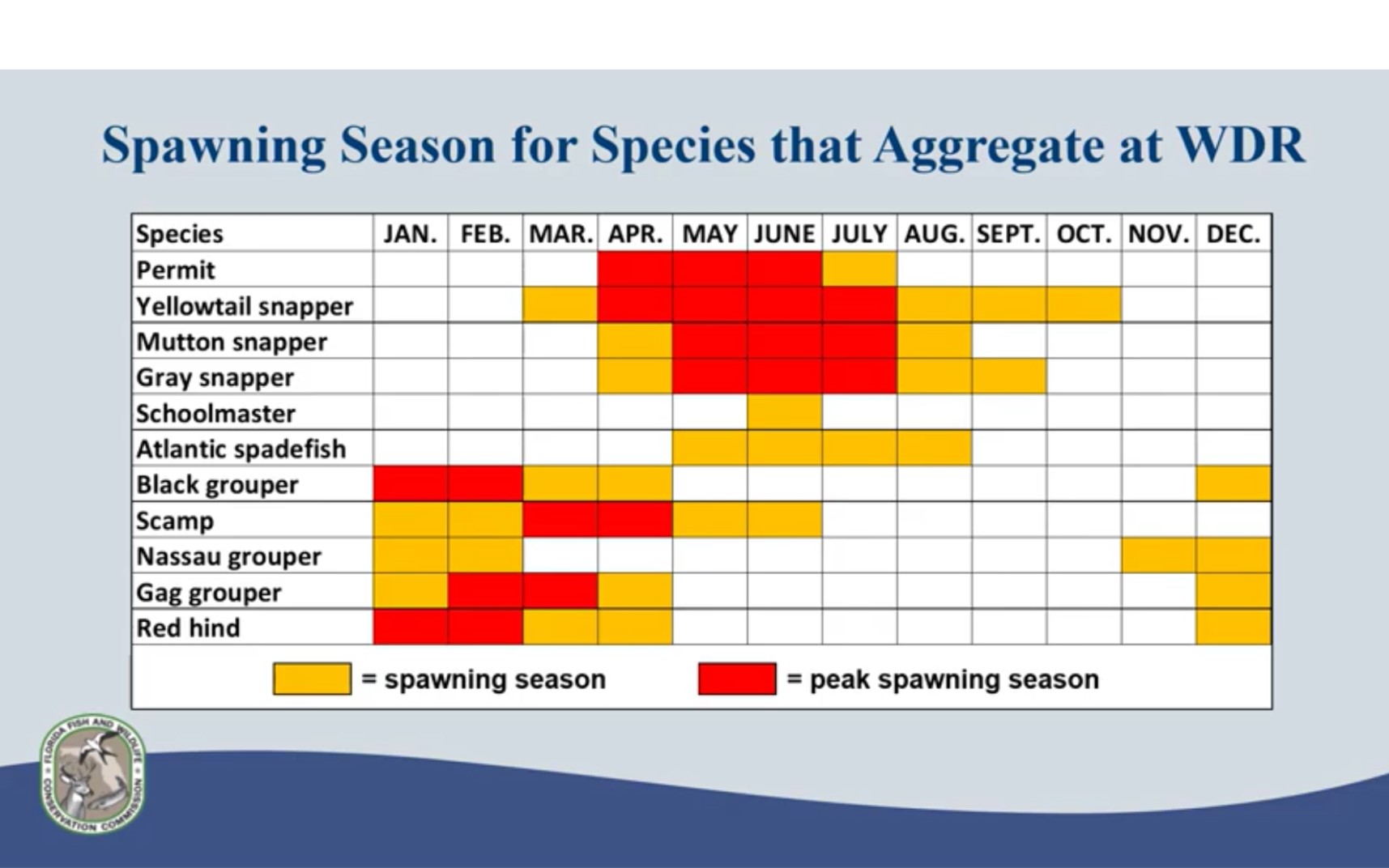 Protecting a Critical Spawning Aggregation – International Game Fish ...