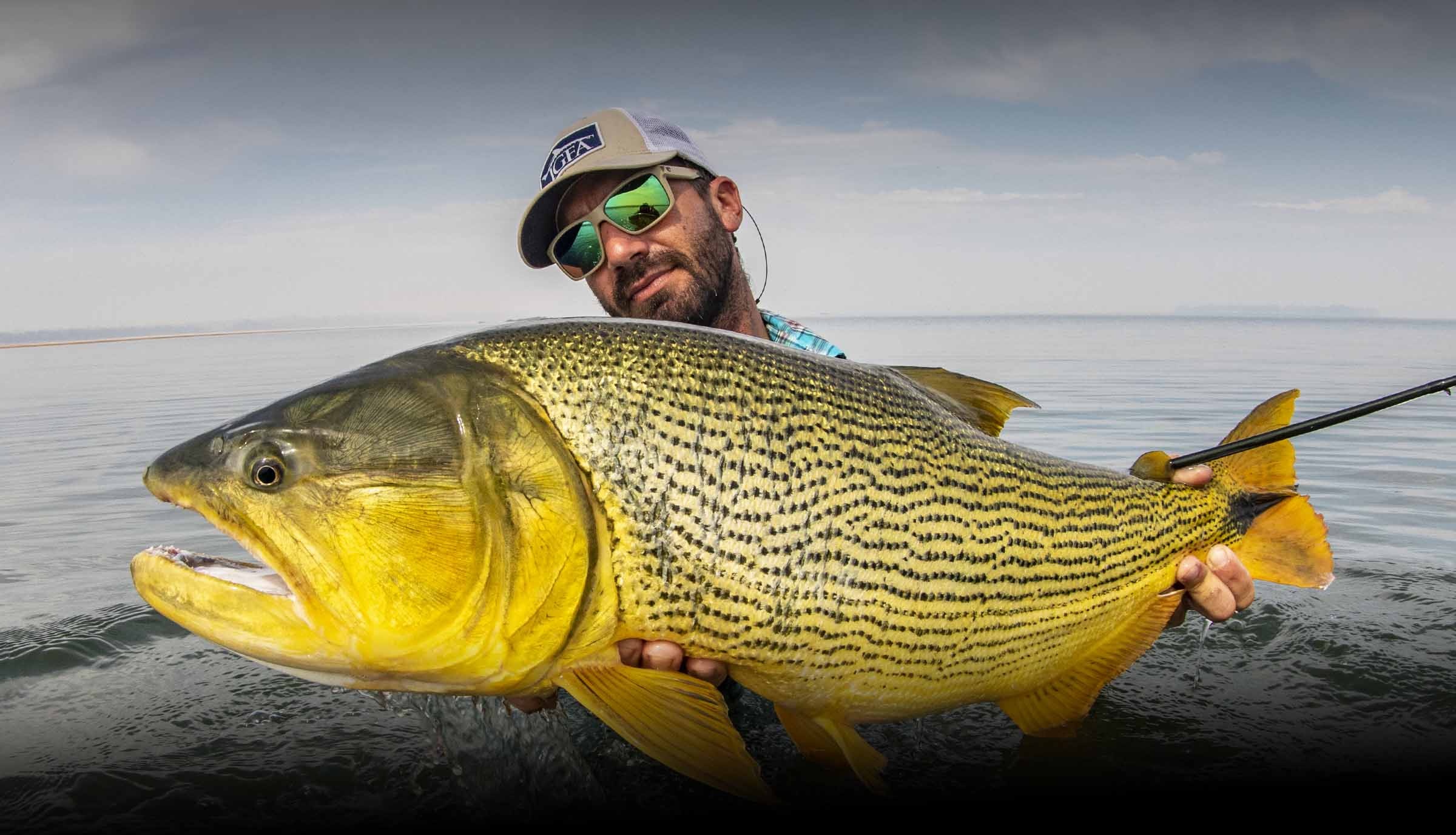 - International Game Fish Association