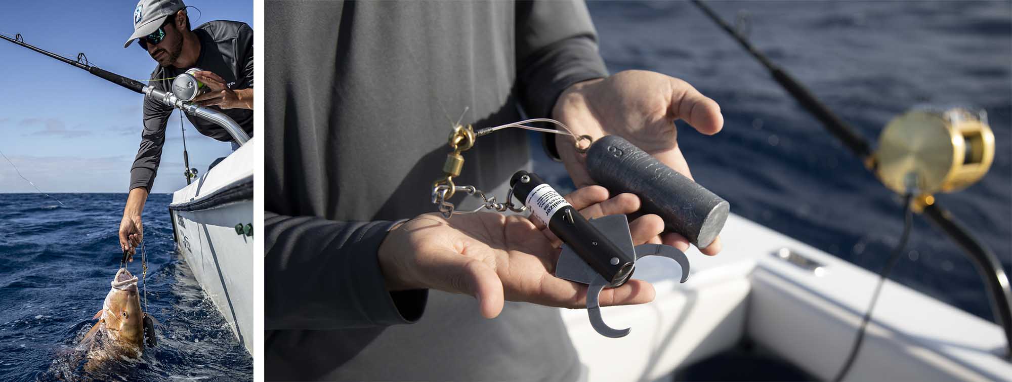 Return ‘Em Right to Tackle Barotrauma in Reef Fish – International Game ...