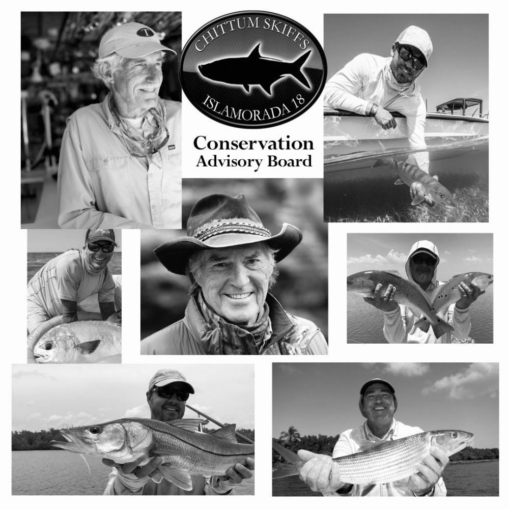 The Chittum Skiffs Story: Adapt, Evolve & Perfect – International Game ...