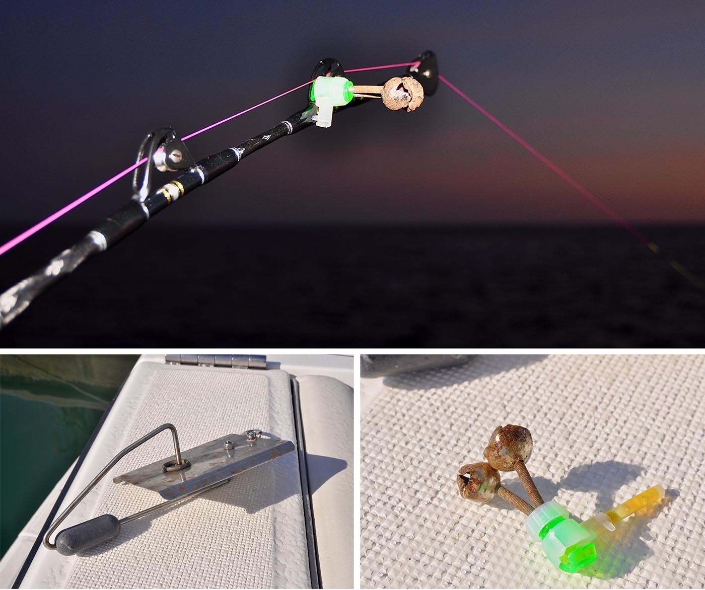 Mediterranean Swordfish on Fly – International Game Fish Association