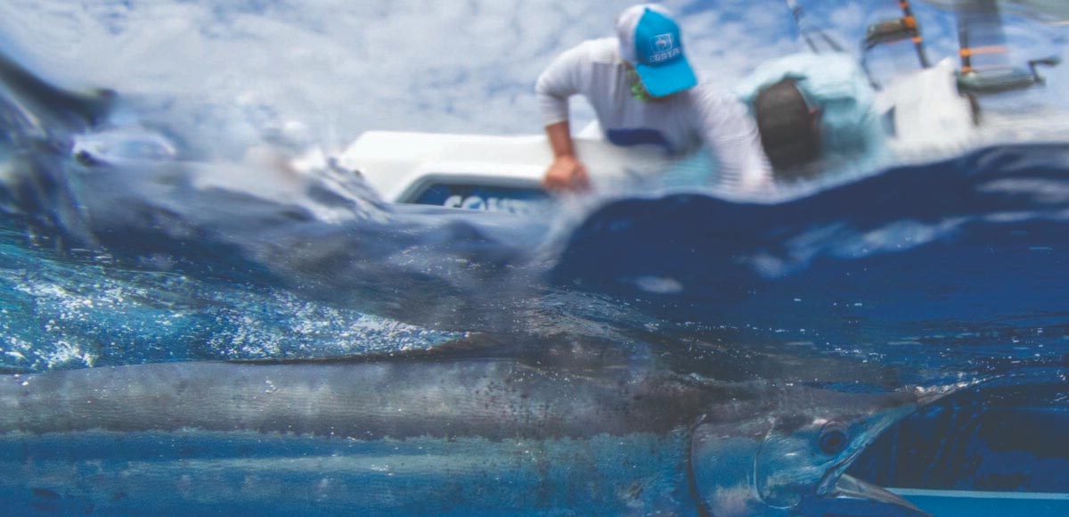 IGFA Conservation Update for April 2024 – International Game Fish ...