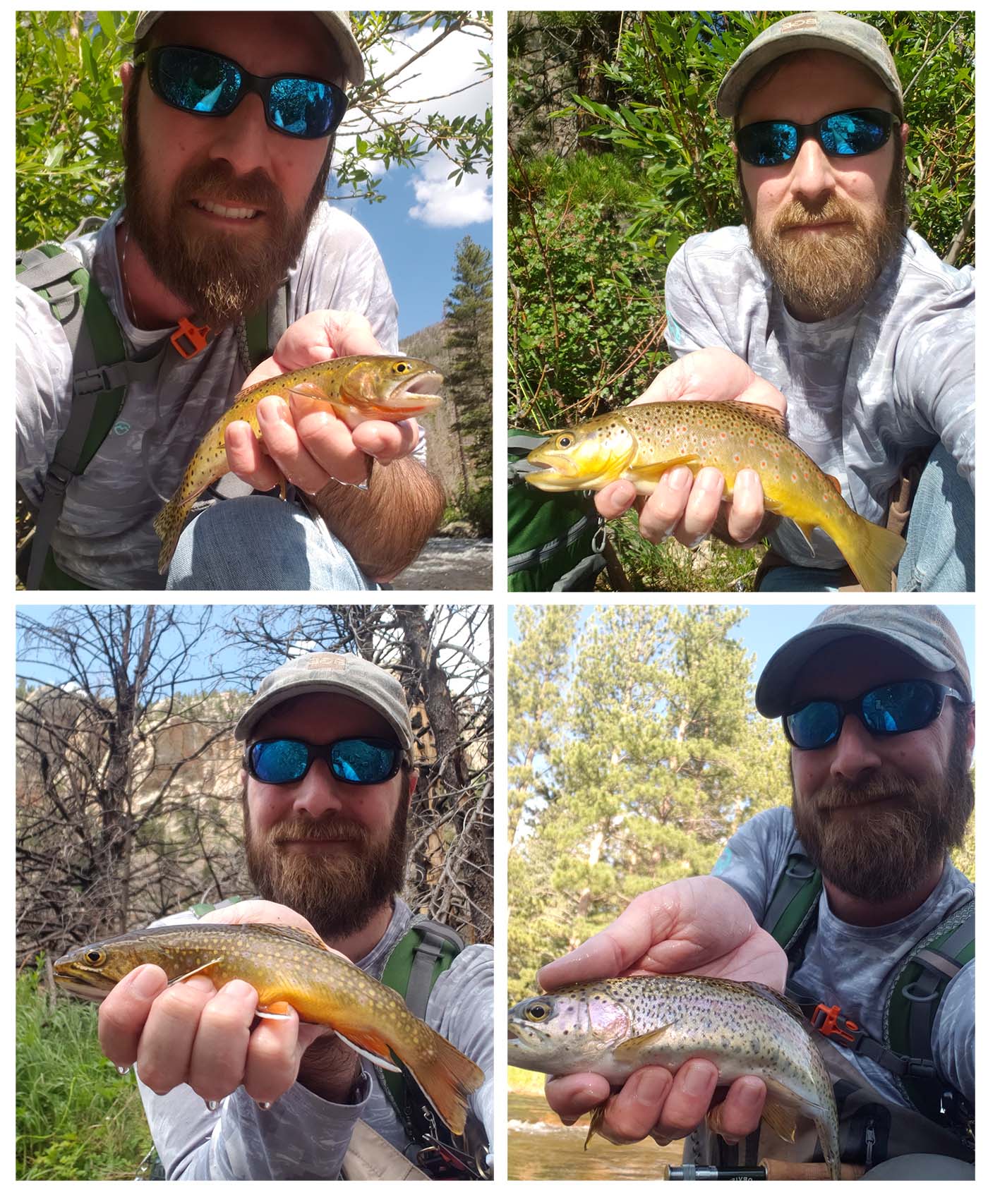 Slam & Trophy Clubs for August 2024 – International Game Fish Association