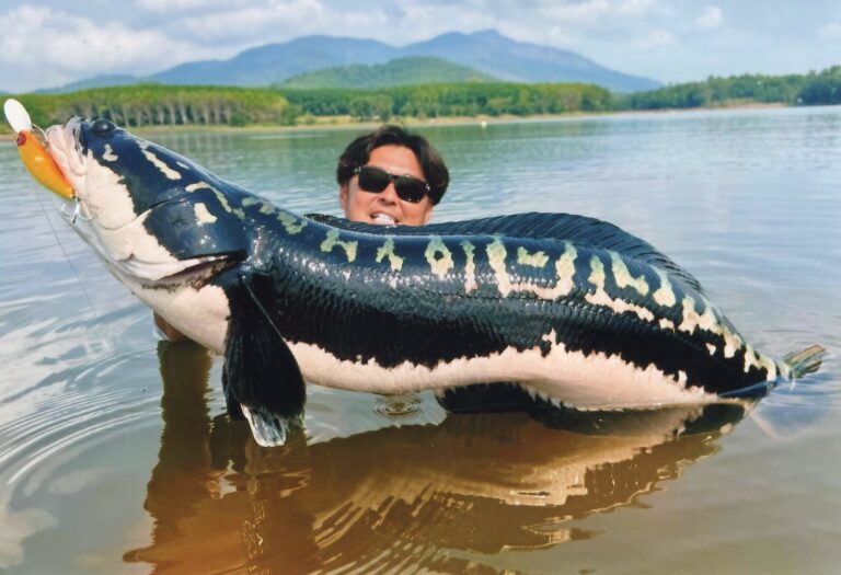 2024 IGFA World Record Recap – International Game Fish Association