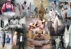 20 Enduring IGFA World Records – Legendary Catches That Have Stood the ...