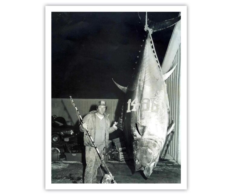 20 Enduring IGFA World Records – Legendary Catches That Have Stood the ...