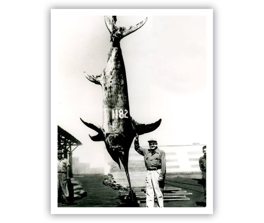 20 Enduring IGFA World Records – Legendary Catches That Have Stood the ...