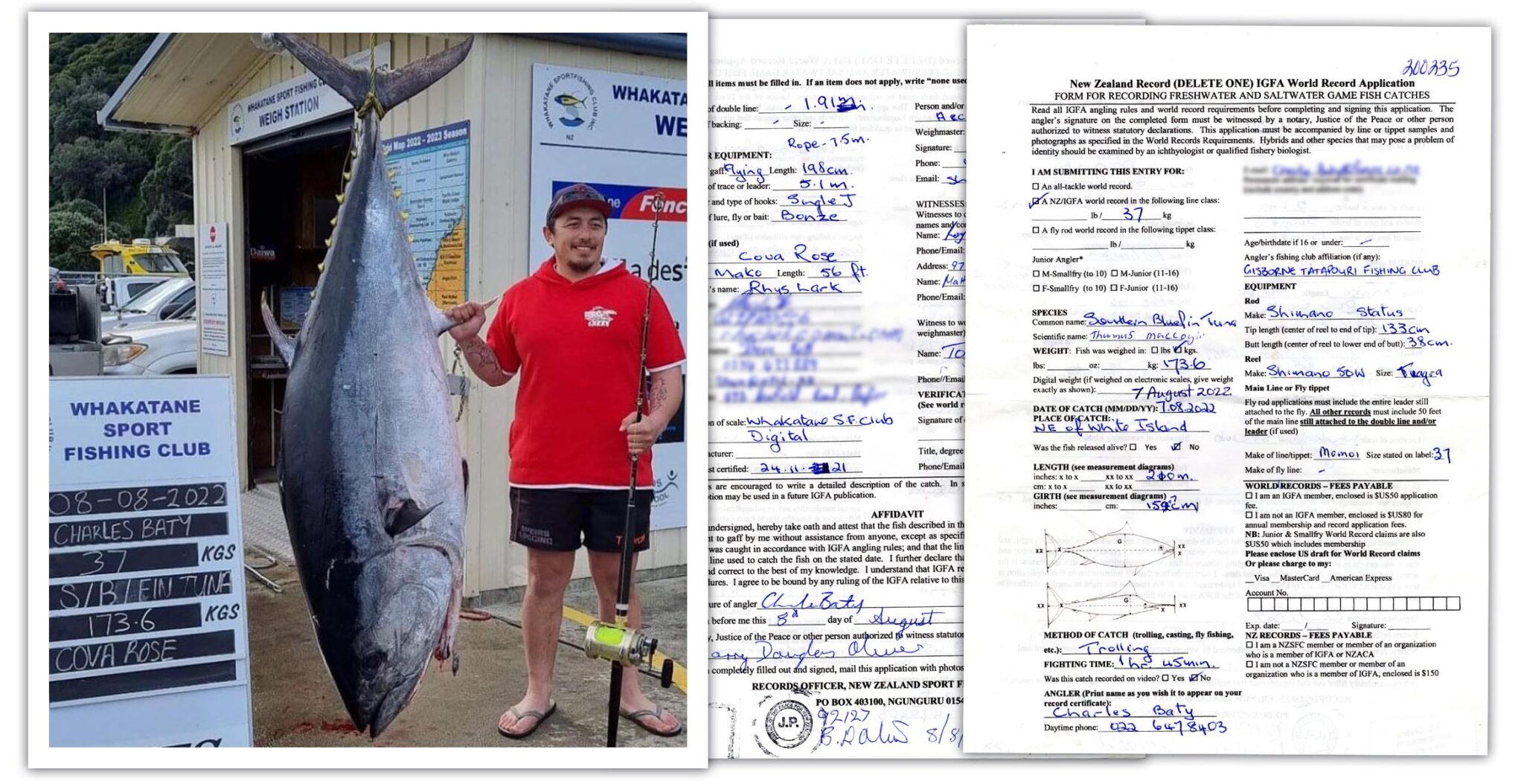 Southern Bluefin Tuna, Records, and Conservation in Tasmania and Beyond ...