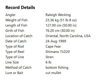 The World’s Largest Reds: World record red drum catches that sit a top ...