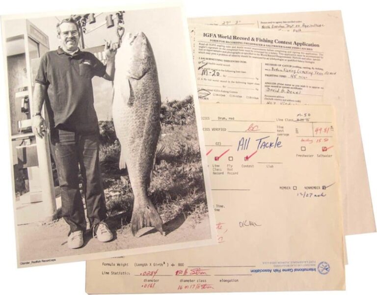 The World’s Largest Reds: World record red drum catches that sit a top ...
