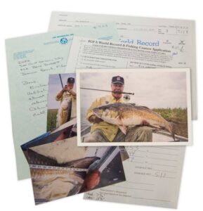 The World’s Largest Reds: World record red drum catches that sit a top ...