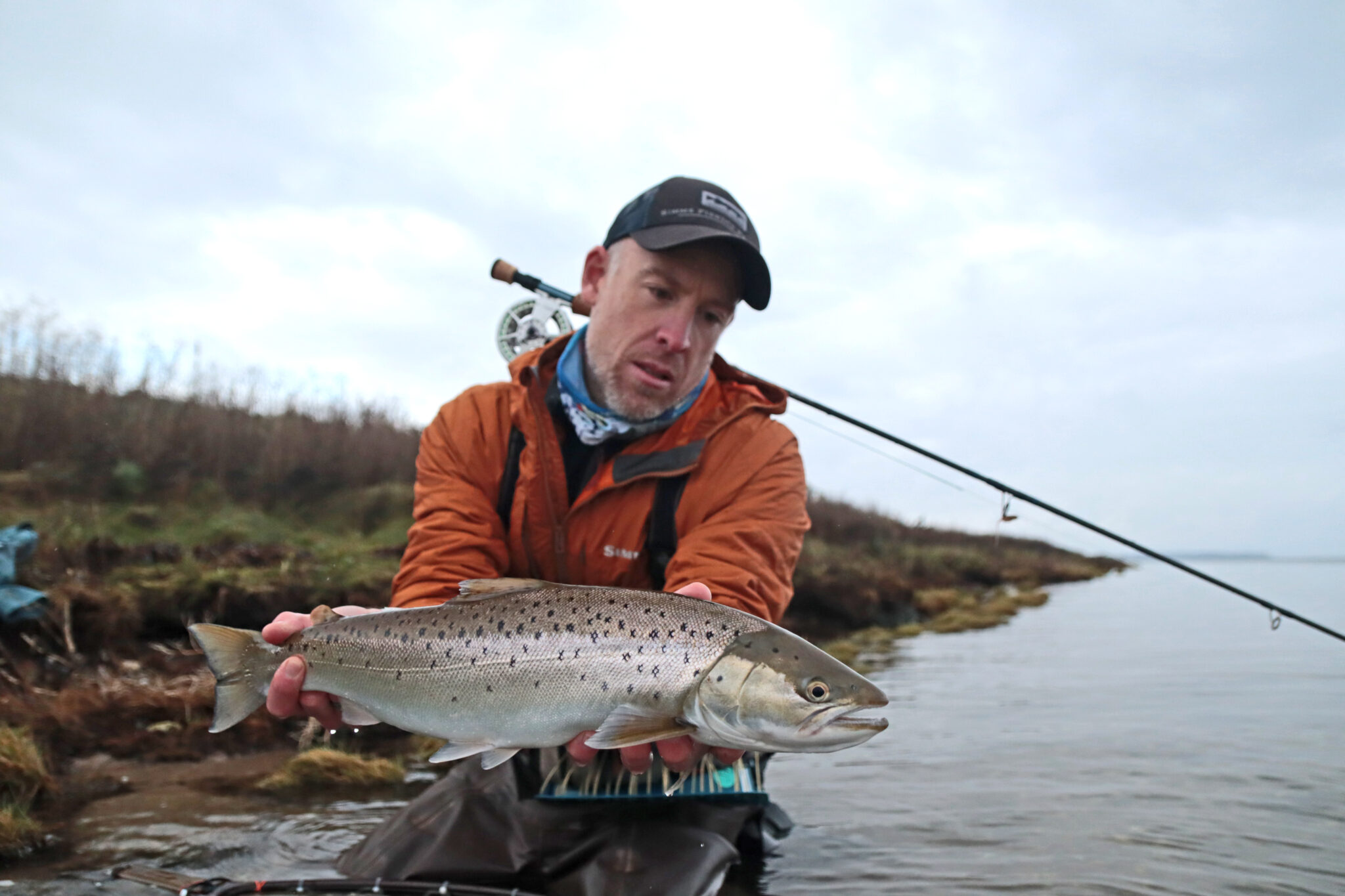 Sea Trout on the Flats of Denmark: A European Hidden Treasure ...