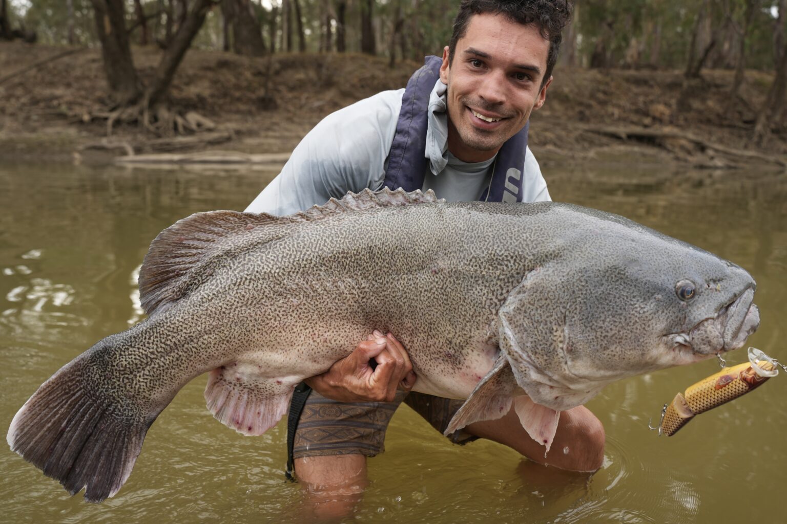 Fishing for Murray Cod: An Australian Freshwater Treasure ...