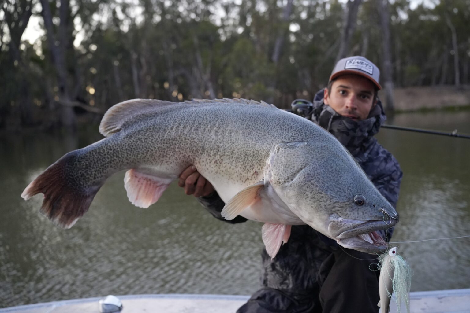 Fishing for Murray Cod: An Australian Freshwater Treasure ...