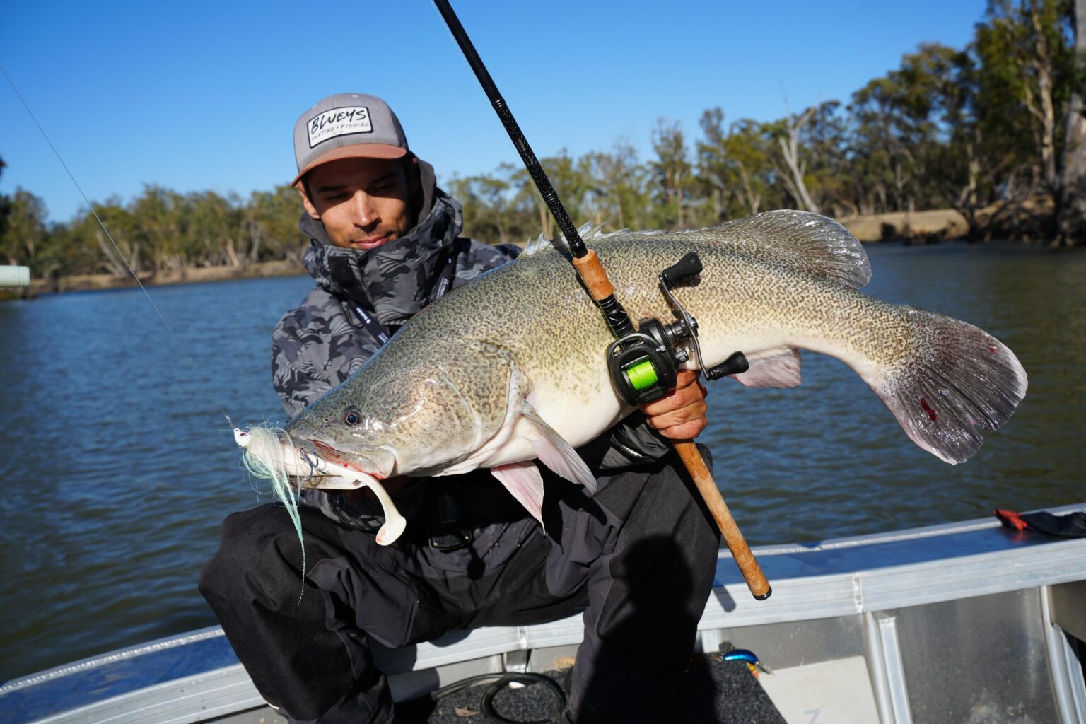 Fishing for Murray Cod: An Australian Freshwater Treasure – International Game Fish Association